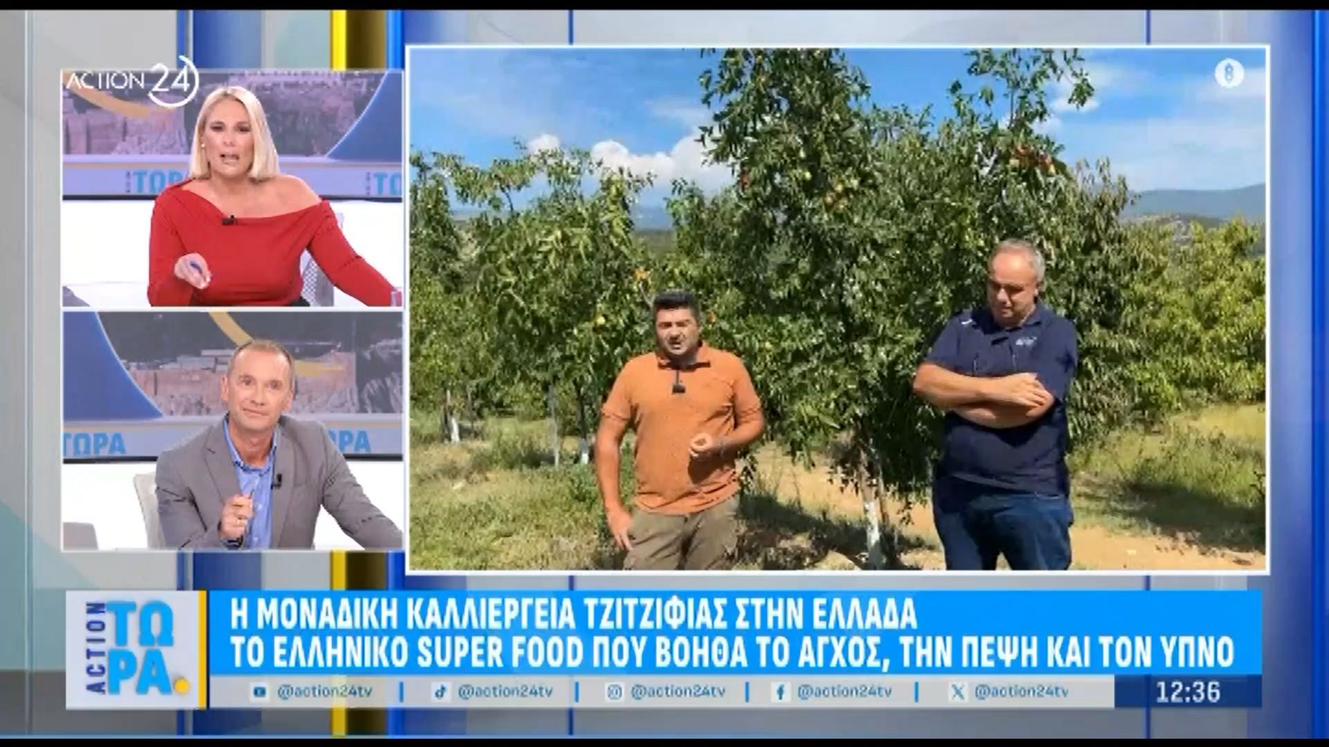 Π. Τζαβέλλας – Καλλιεργητής: «Από εμάς το φρούτο φεύγει στα 3,5 ευρώ ...