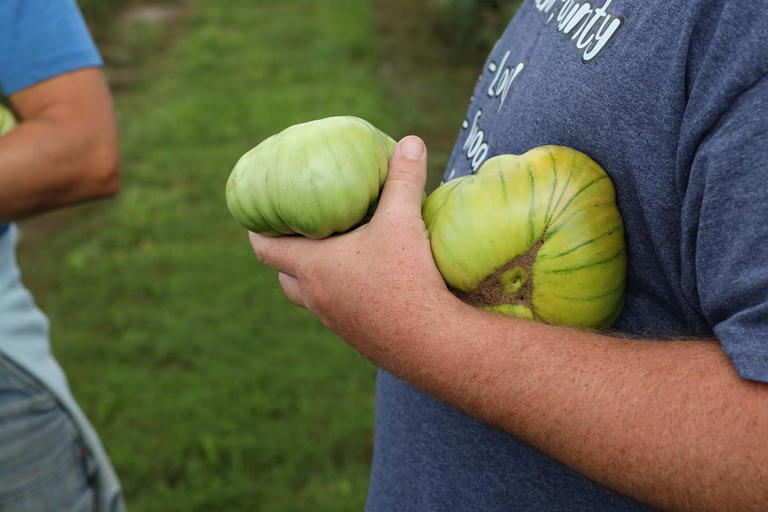 Wisconsin county keeps healthy food program alive despite federal cuts