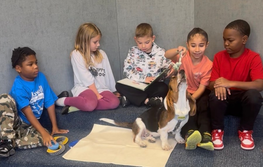 Therapy dog makes ‘paw-sitive’ impact at elementary school