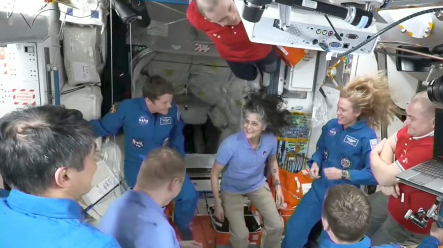 Spaceflight may accelerate the aging of stem cells: Study