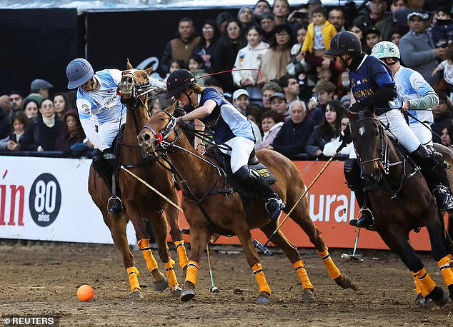 Meet the world's first CRISPR horses! Genetically-modified foals have ...