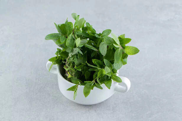 Tulsi Leaves and Their Spiritual Significance in Indian Homes
