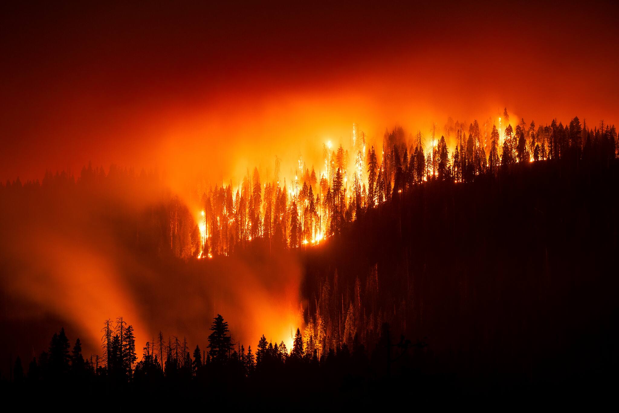 Hitzewellen, Dürrephasen, Überflutungen: Klimawandel machte ...