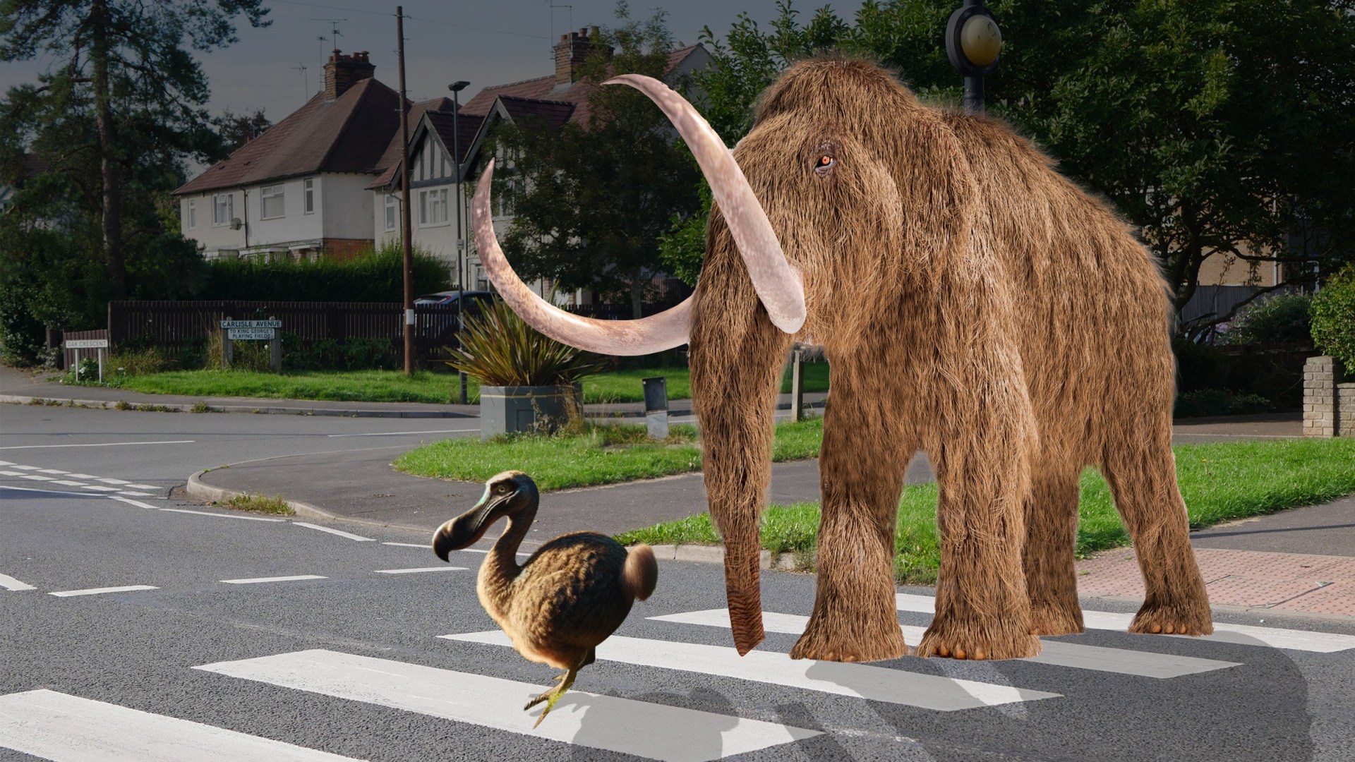 Woolly mammoth revival could bring extinct giants back