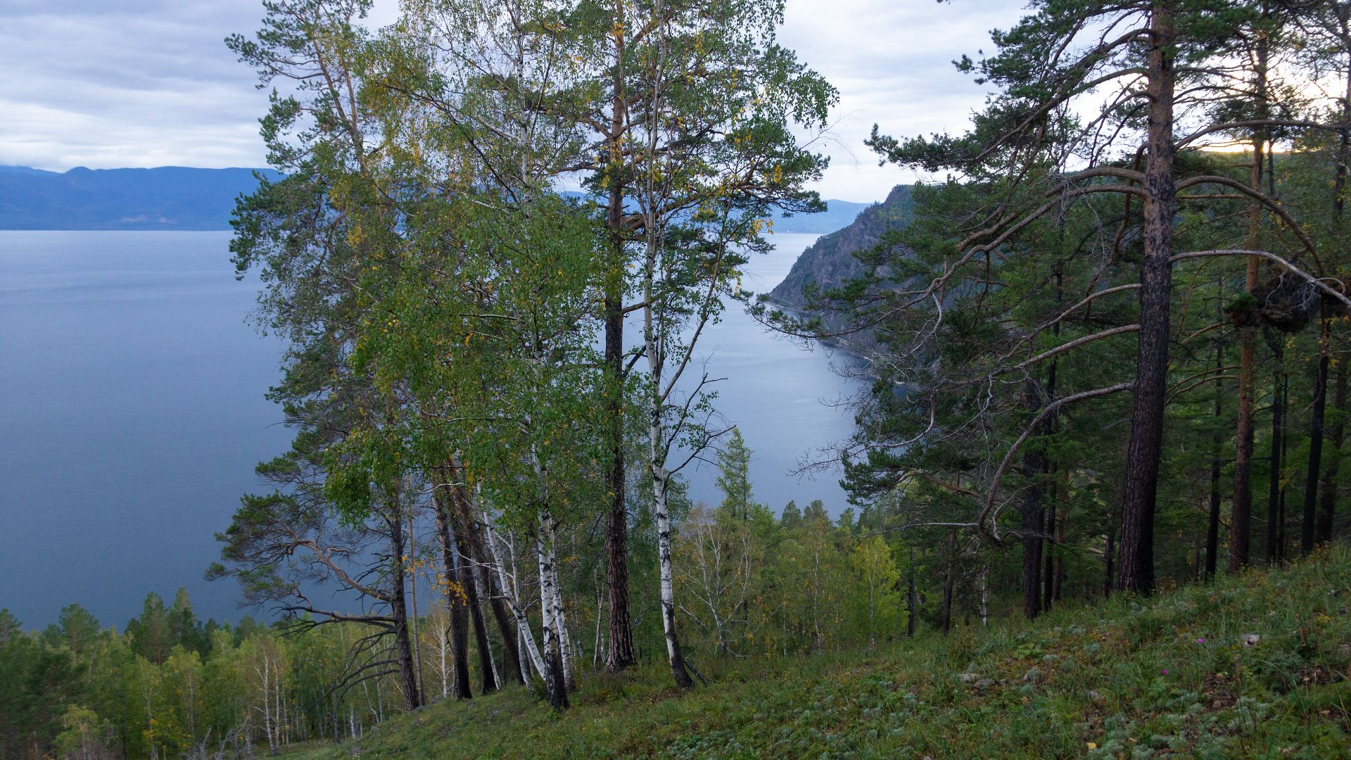 The big game hunting Clovis culture crossed into Alaska and rapidly ...