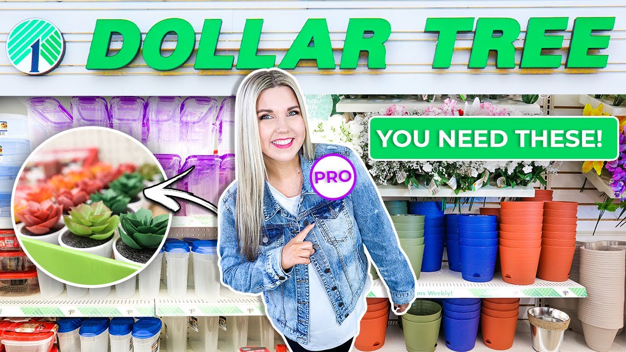 Dollar Tree Secrets Revealed - 25 Must-Have Hidden Finds
