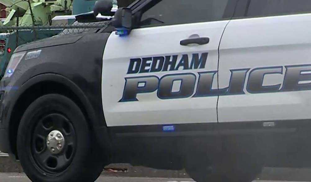 Owners sought in dog attack that hospitalized 86-year-old