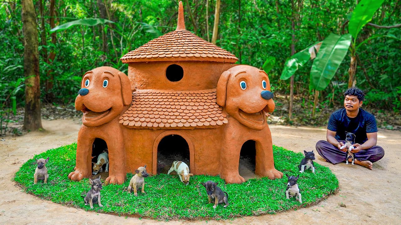 Rescued puppies see their hand-built jungle home for the first time ...