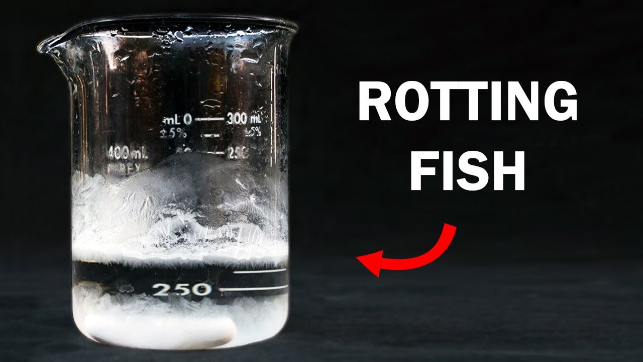 The Chemical Responsible for the Smell of Rotting Fish