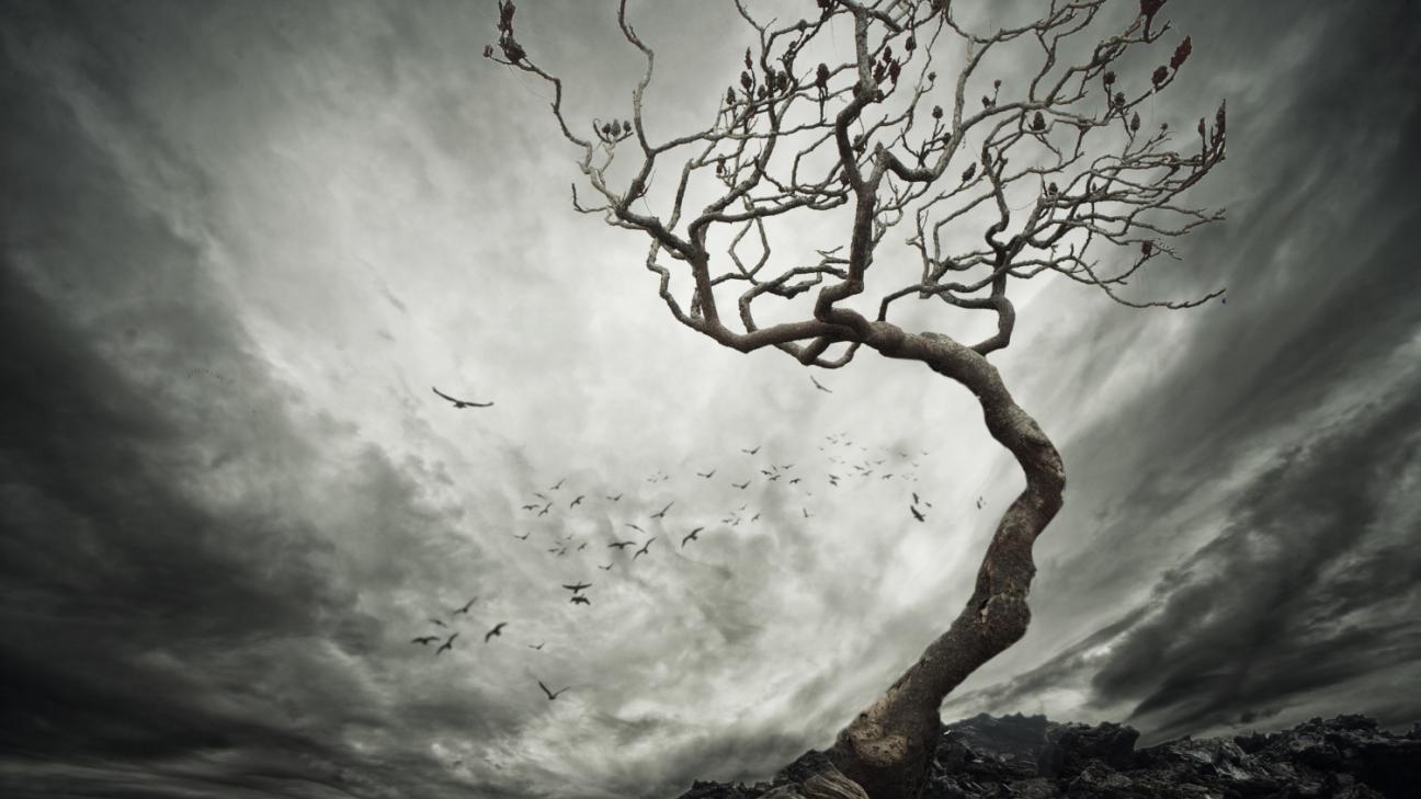 Η μαγική λέξη που πρέπει να λες κάθε πρωί σύμφωνα με τους ψυχολόγους