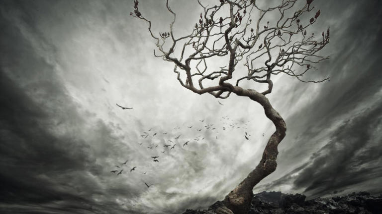 White House tells federal agencies to prepare layoff plans as ...