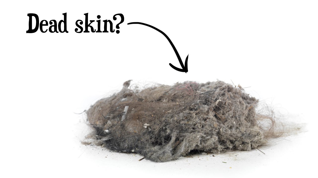 The Shocking Truth About How Much Dead Skin Is in Dust