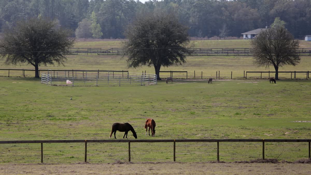 Rural Florida should be run by residents not developers | Column