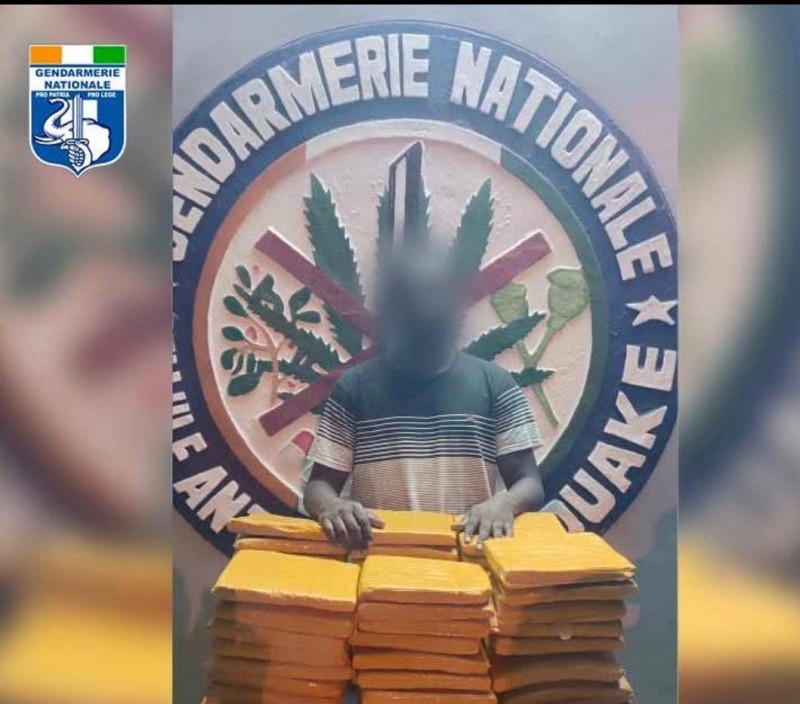Drogue : 66 blocs de cannabis saisis chez un dealer à Bouaké