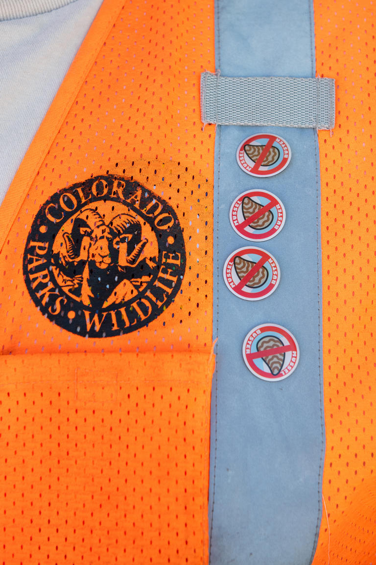 ‘Prolific alien invaders’ threaten waters in the West