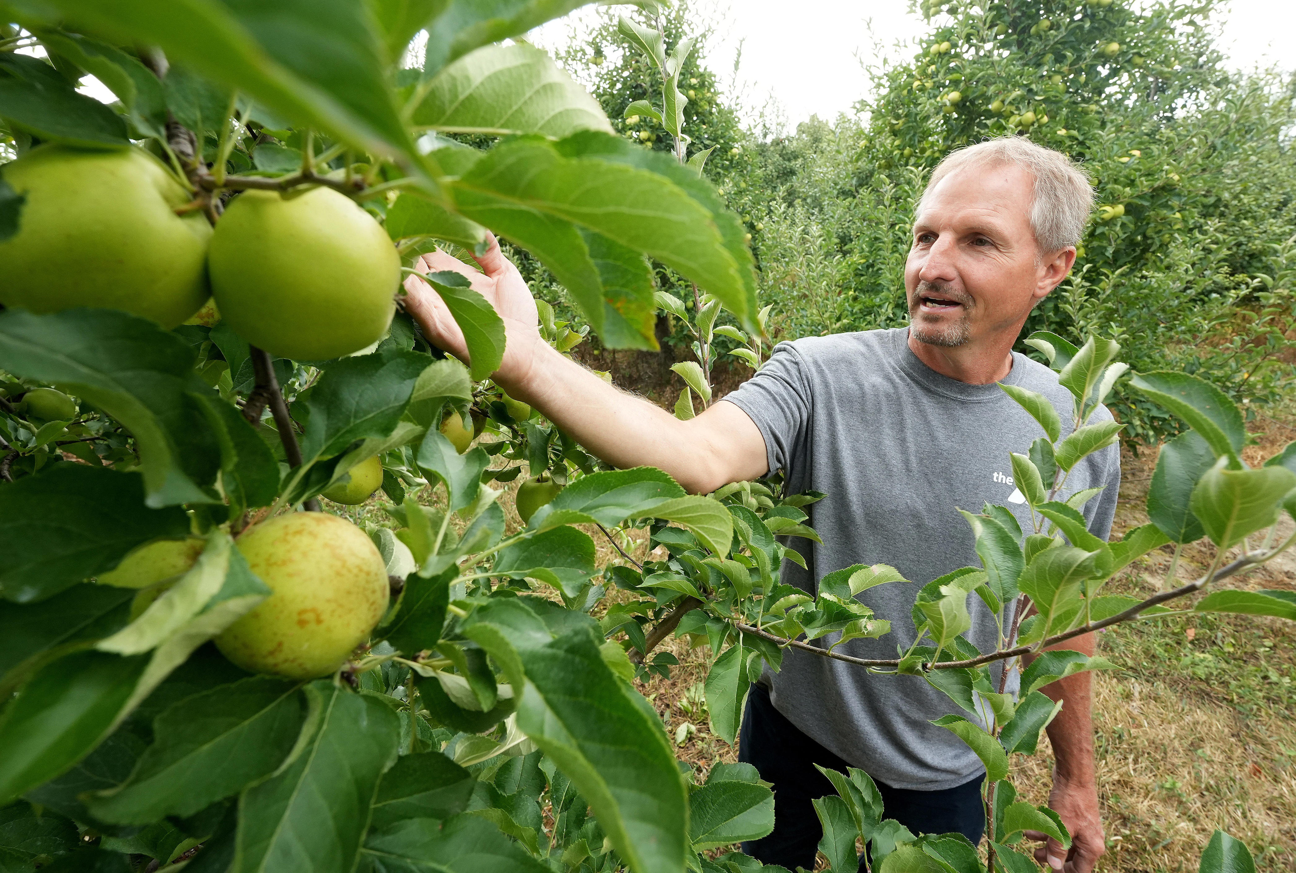 Jonesing for a fresh apple? Here's where you can pick your own in Akron ...