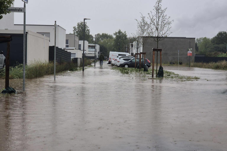 Dane Henry, Team Australia Win Big at ISA World Surfing Games in El ...
