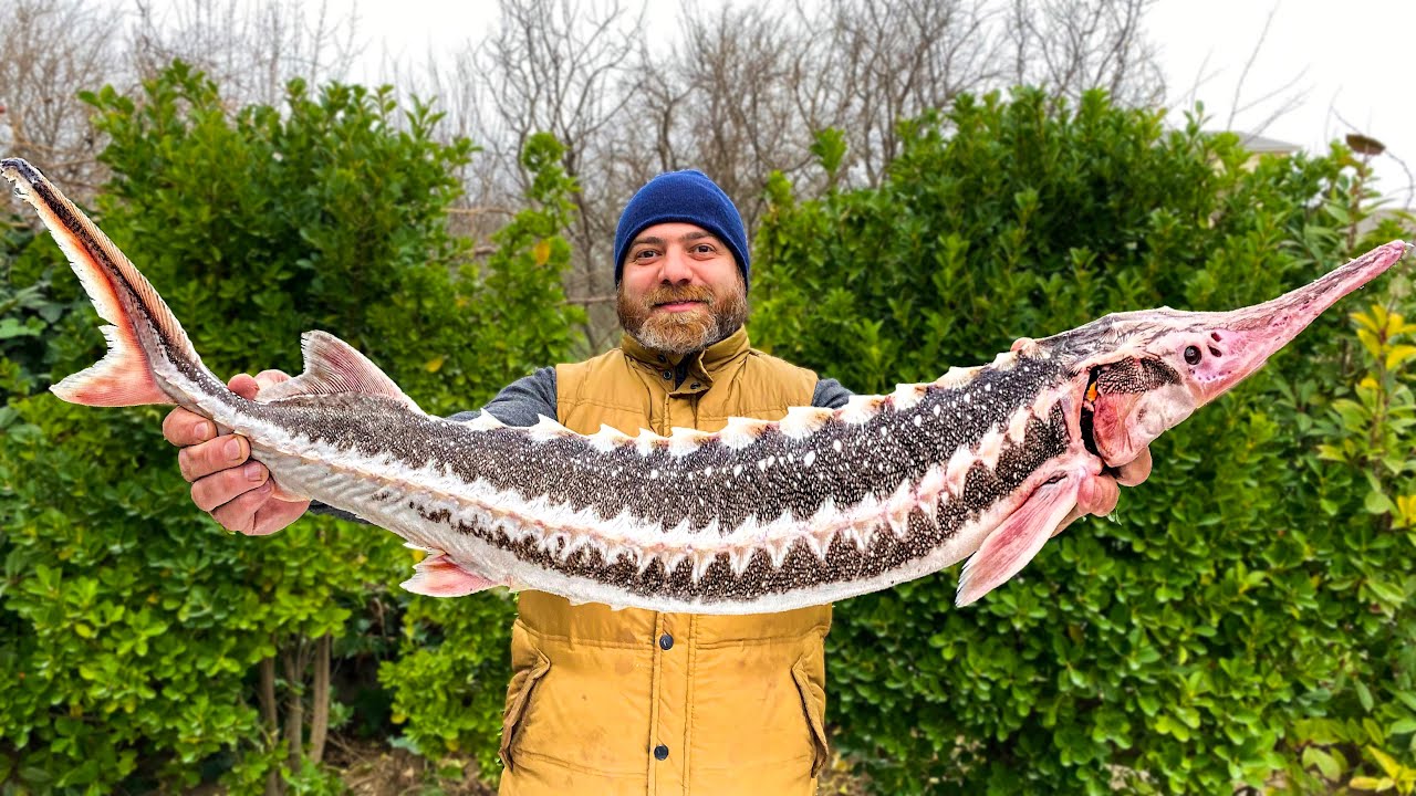 Whole Sturgeon Baked Under a Thick Salt Crust