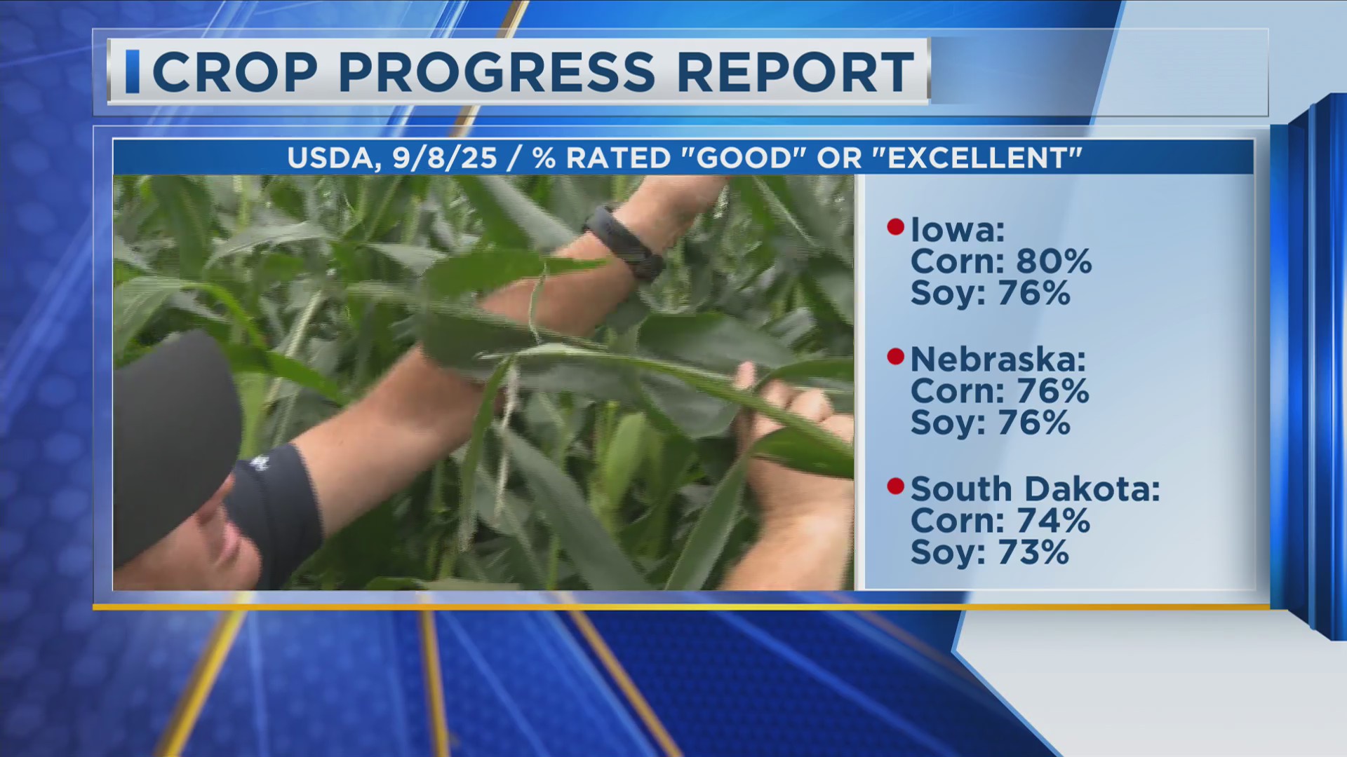 USDA Crop Progress Report 9/9/25