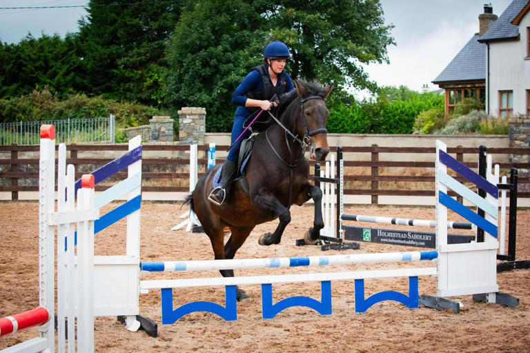 Horse Week: Double win for Annie and Sparky at Hagans Croft