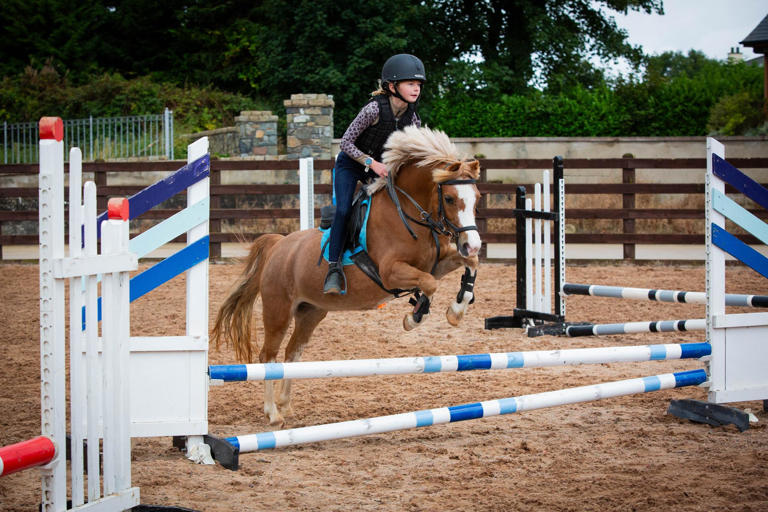 Horse Week: Double win for Annie and Sparky at Hagans Croft
