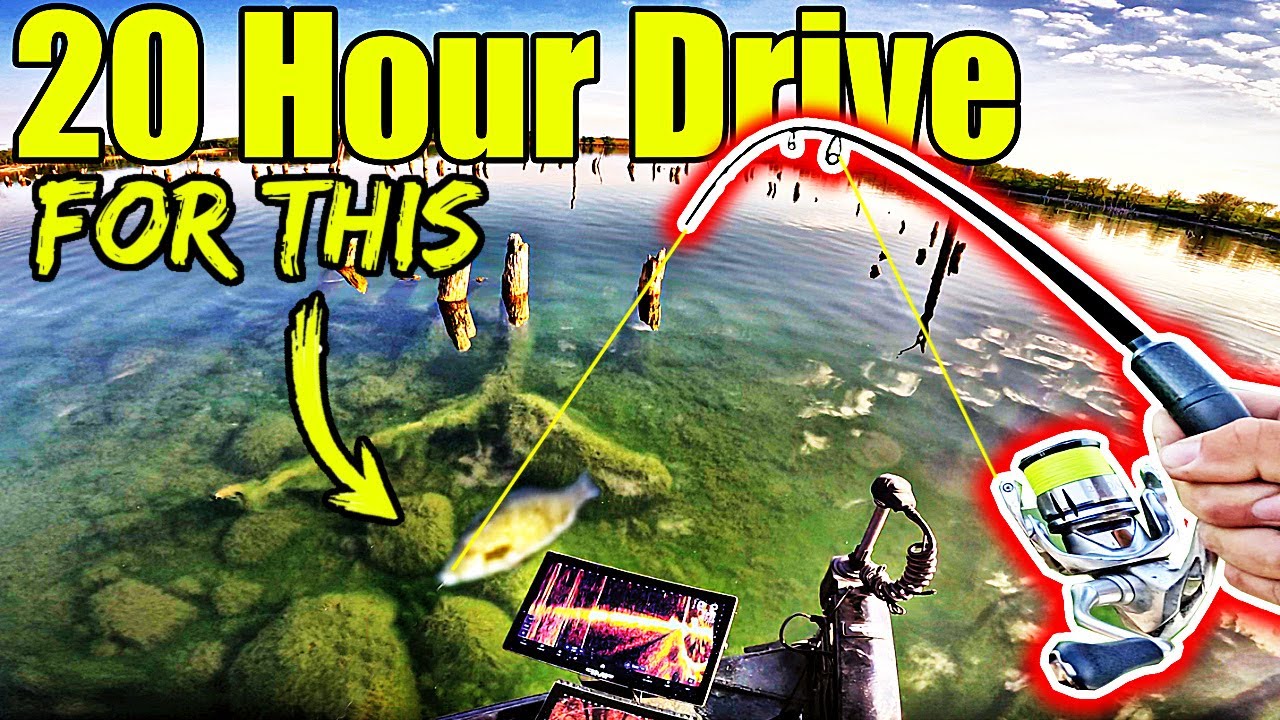 Drove twenty hours to fish crystal clear pond