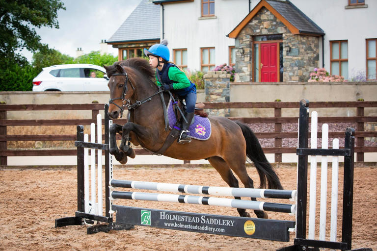 Horse Week: Double win for Annie and Sparky at Hagans Croft