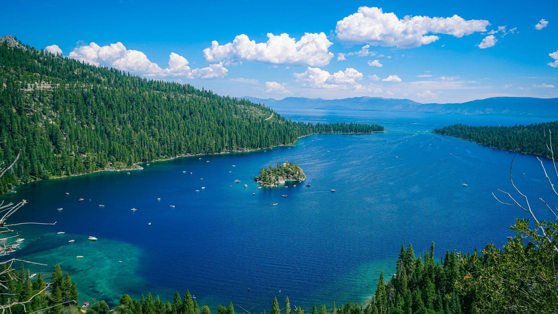 California Resident Tests Positive for the Plague After Camping Trip