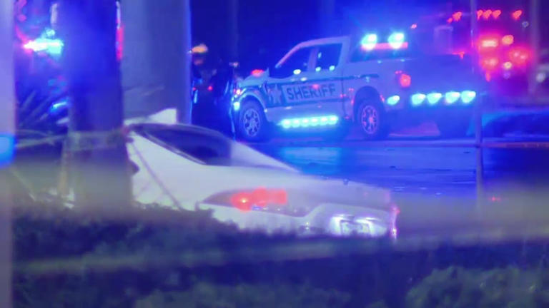 18-year-old woman found shot and killed after Orange County crash ...