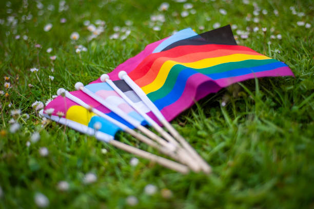 5 Bandeiras LGBTQ+ E Os Seus Significados