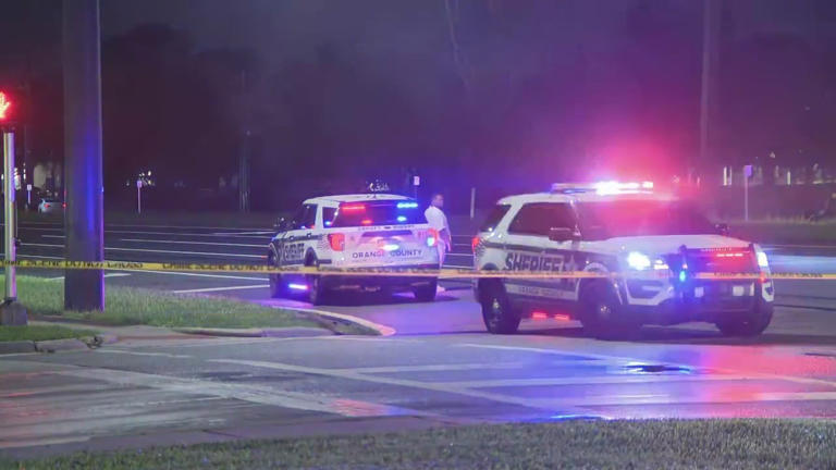 18-year-old woman found shot and killed after Orange County crash ...