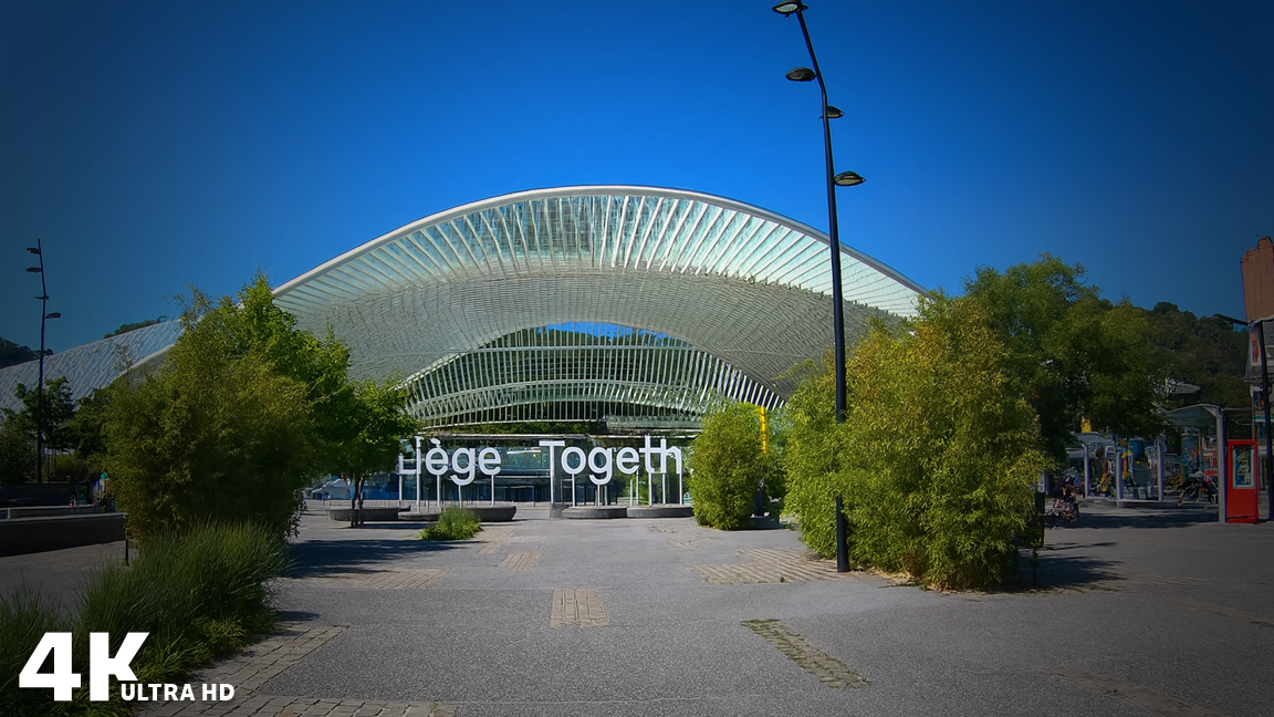 The brave pioneers of wing walking