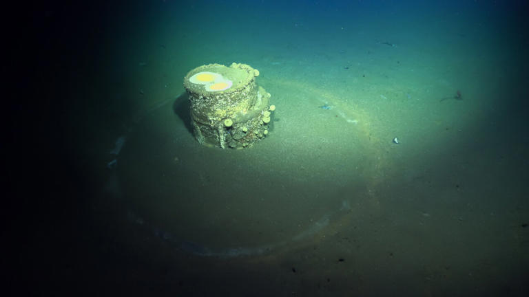 Decades-old barrels of industrial waste still impacting ocean floor off ...