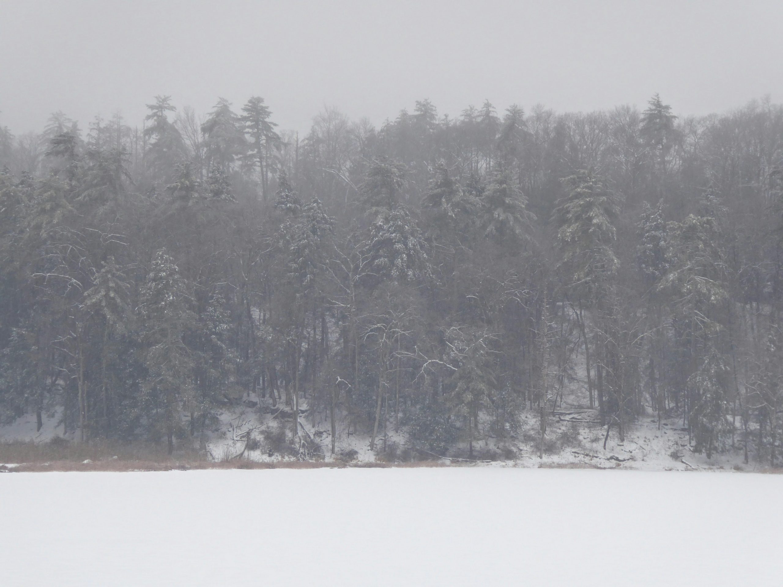 12 Natural Phenomena That Come Alive in Winter
