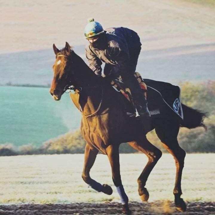 Retired Surrey jockey rides again for charity