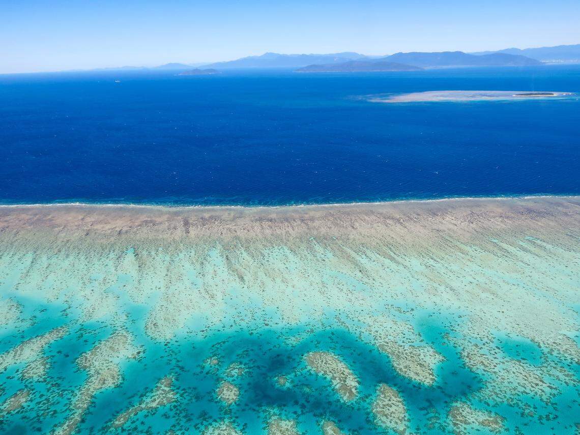Red-eyed sea creature with ‘fang-like' teeth found on reef. It's a new ...
