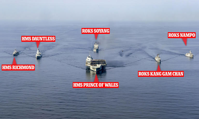 UK flagship HMS Prince of Wales sails alongside Royal Navy and South ...