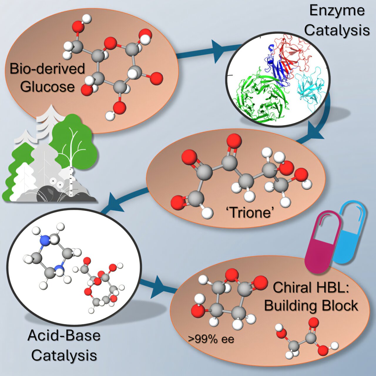 From wood waste to key pharmaceutical ingredient: Sustainable method ...