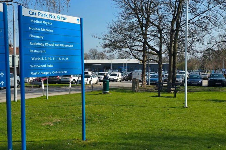 Garland’s Fall Fest: Contests, Costumes, and Craft Beer Await