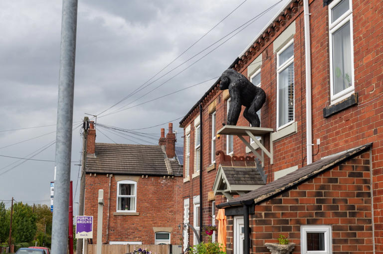 Woman told to remove 4ft gorilla named Caesar