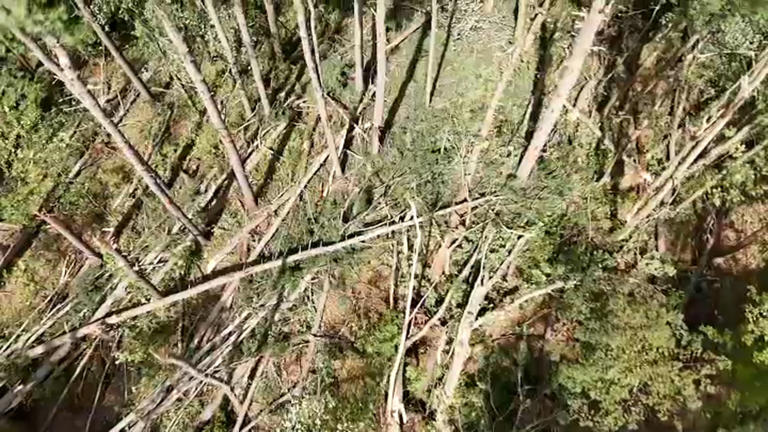 5th tornado touchdown confirmed in central Mass. on Saturday, NWS says