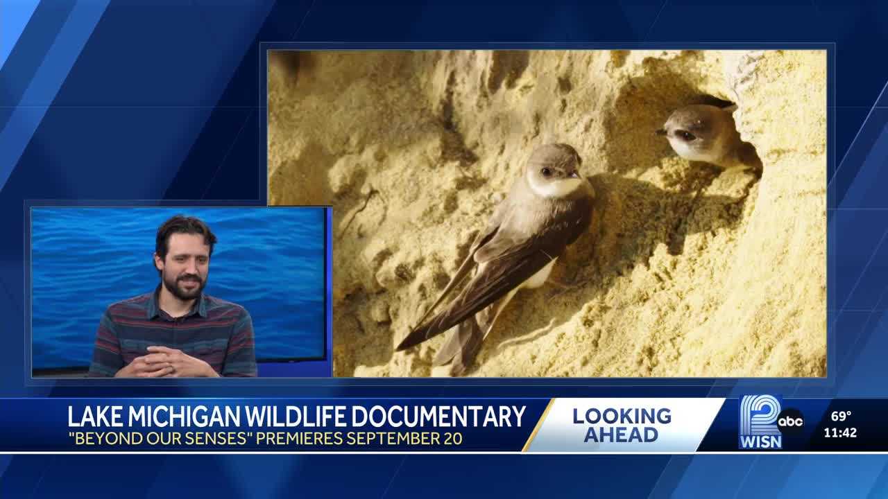 Local Filmmaker Brings Lake Michigan Wildlife to Planetarium Screen