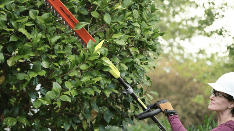 What Are The Ryobi Expand-It Tools And How They Can Help With Fall Yard ...