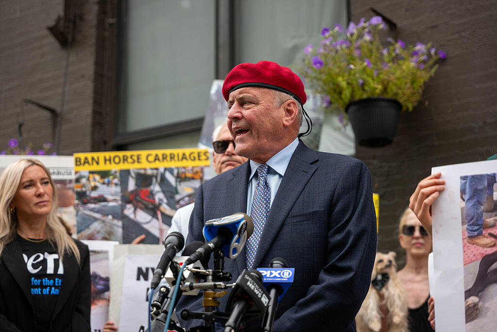 Joe Borelli: How Curtis Sliwa Can Win And Why Zohran Mamdani Shouldn't