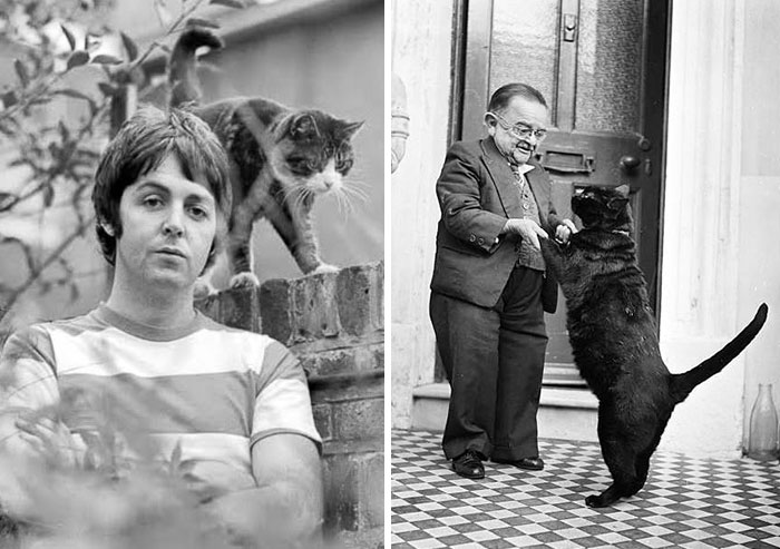 49 Vintage Cat Photos That Are Internet Gold From Before The Internet