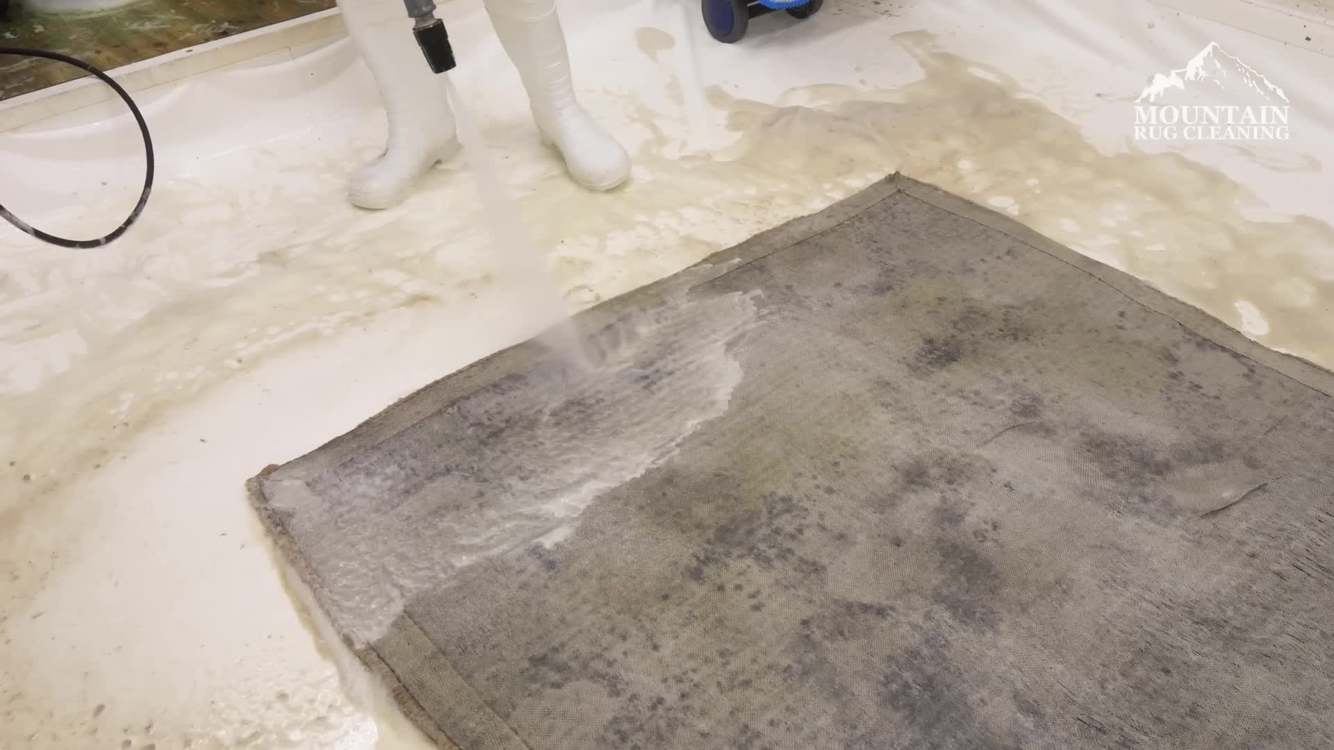 Rug cleaning gone wrong!