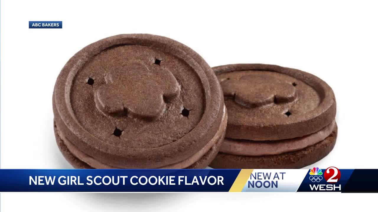 New Girl Scouts Cookie inspired by popular ice cream flavor joins ...