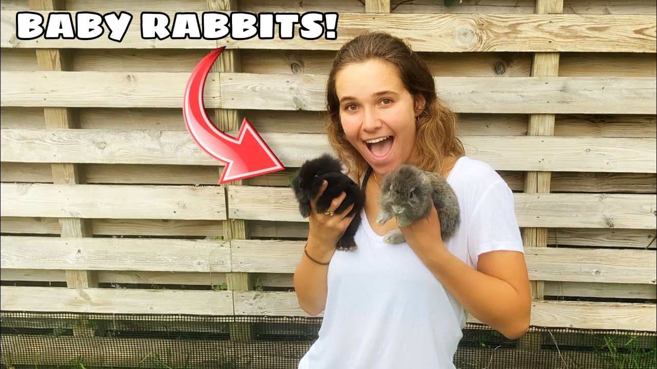 The heartbreaking rescue of baby rabbits from a fur farm