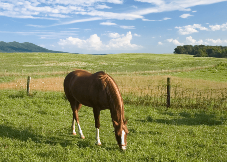 Do you live in one of the best places in Virginia to raise a family ...