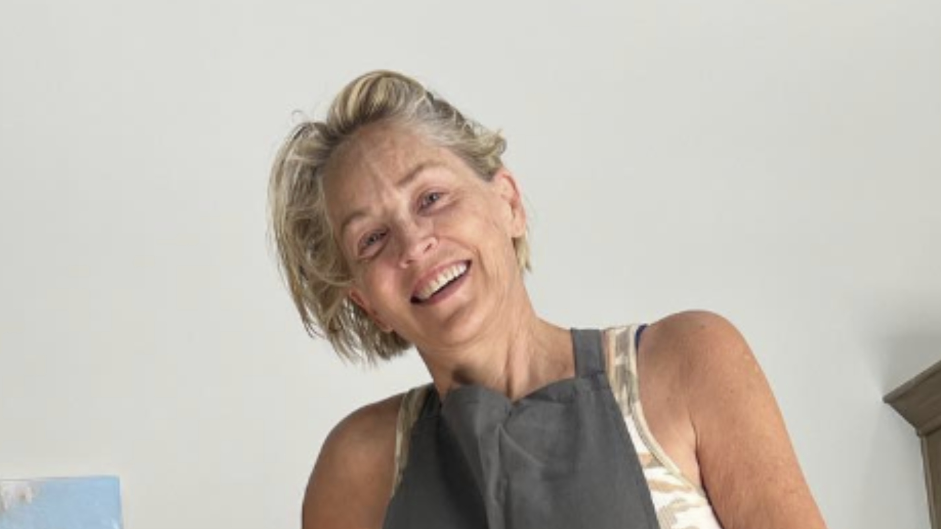 "Galen karisma": vid 67 års ålder är Sharon Stone enhälligt populär i ...